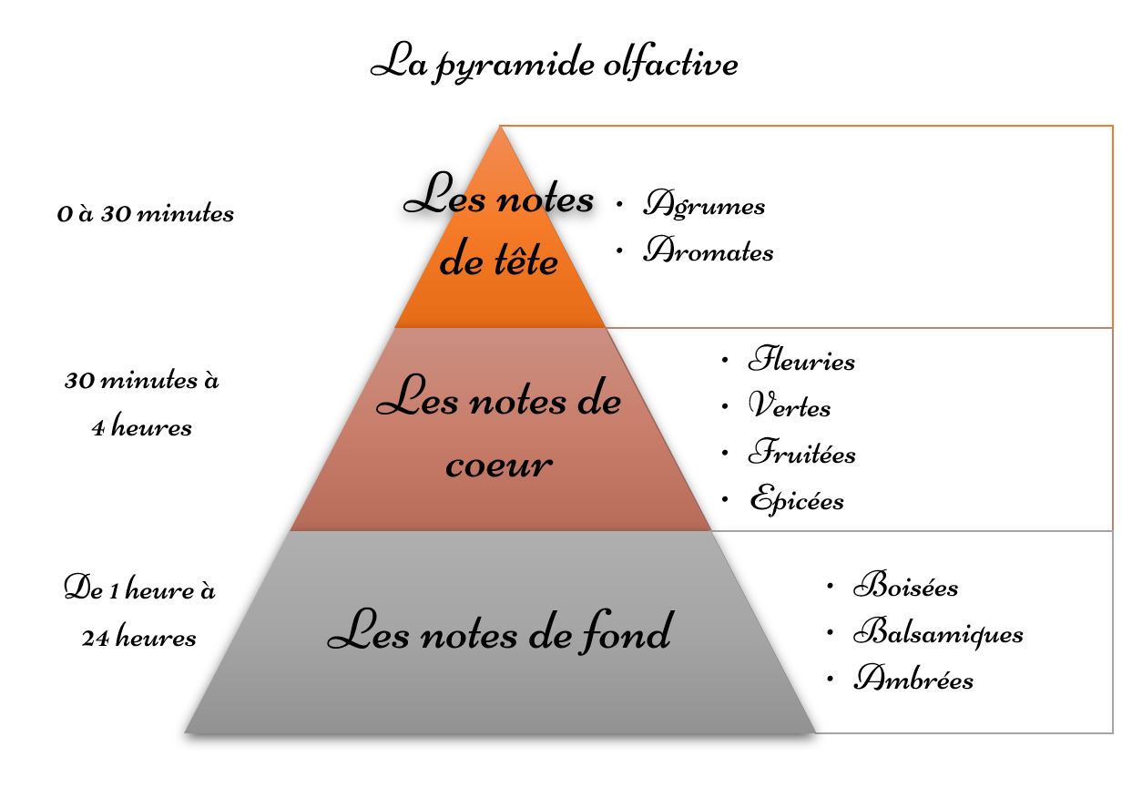 La parfumerie - L'atelier Musqué